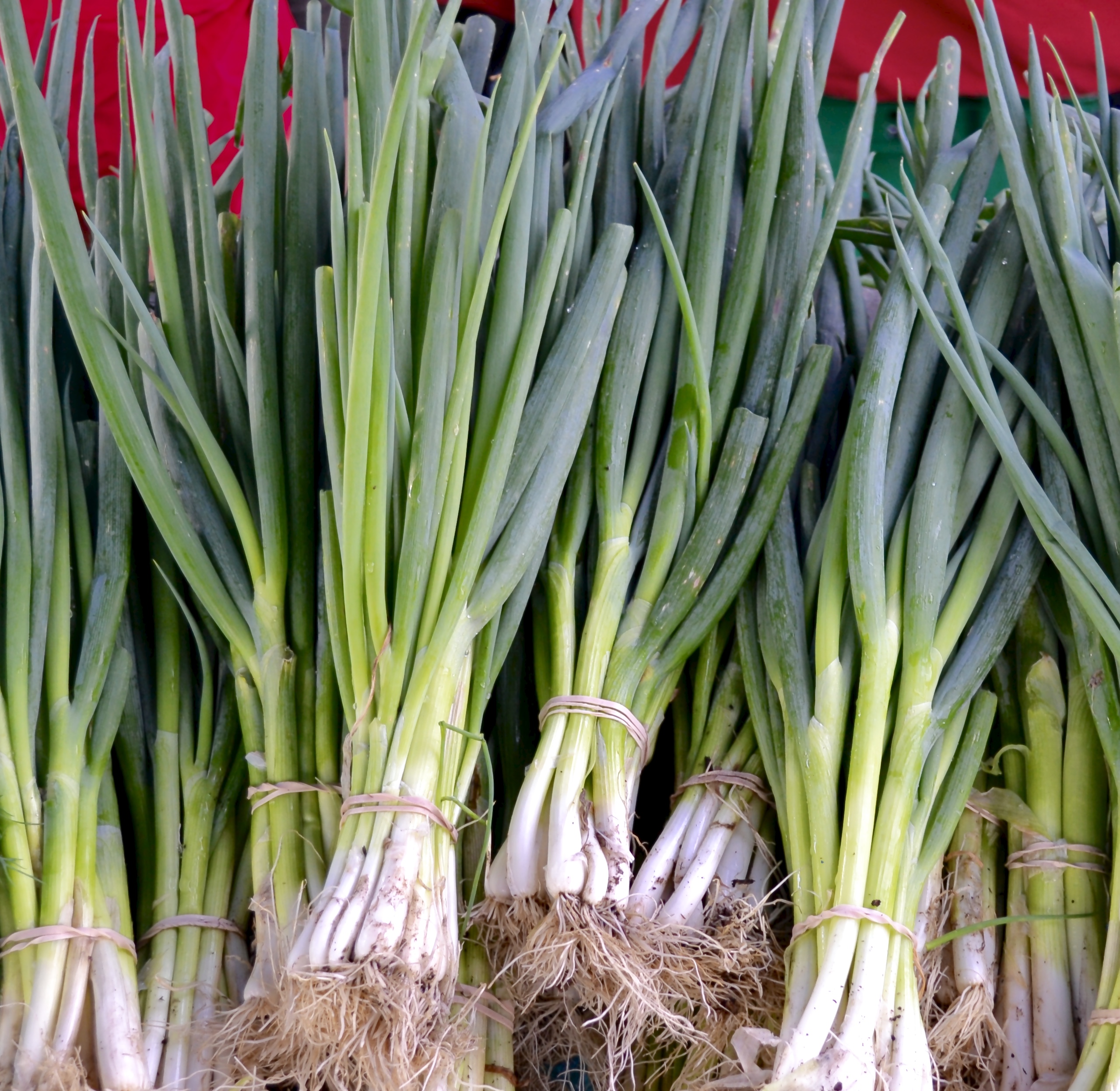 Korean-style Scallion and Veggie Pancakes – Worden Farm to Table