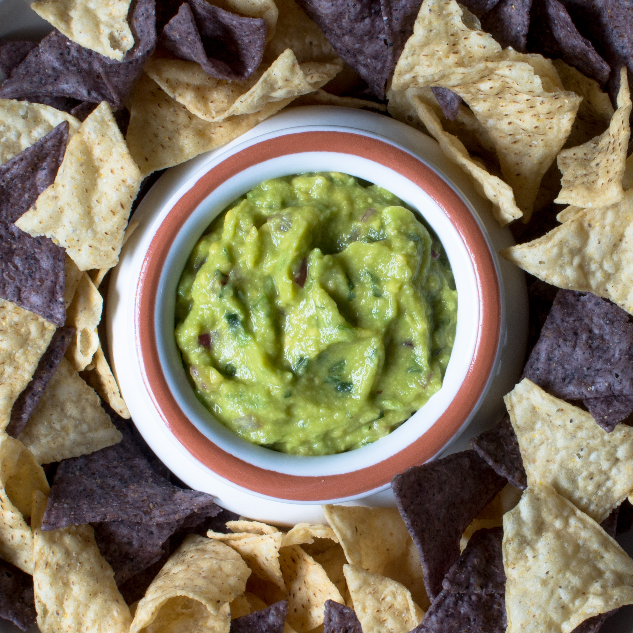 Florida Avocado Guacamole – Worden Farm to Table